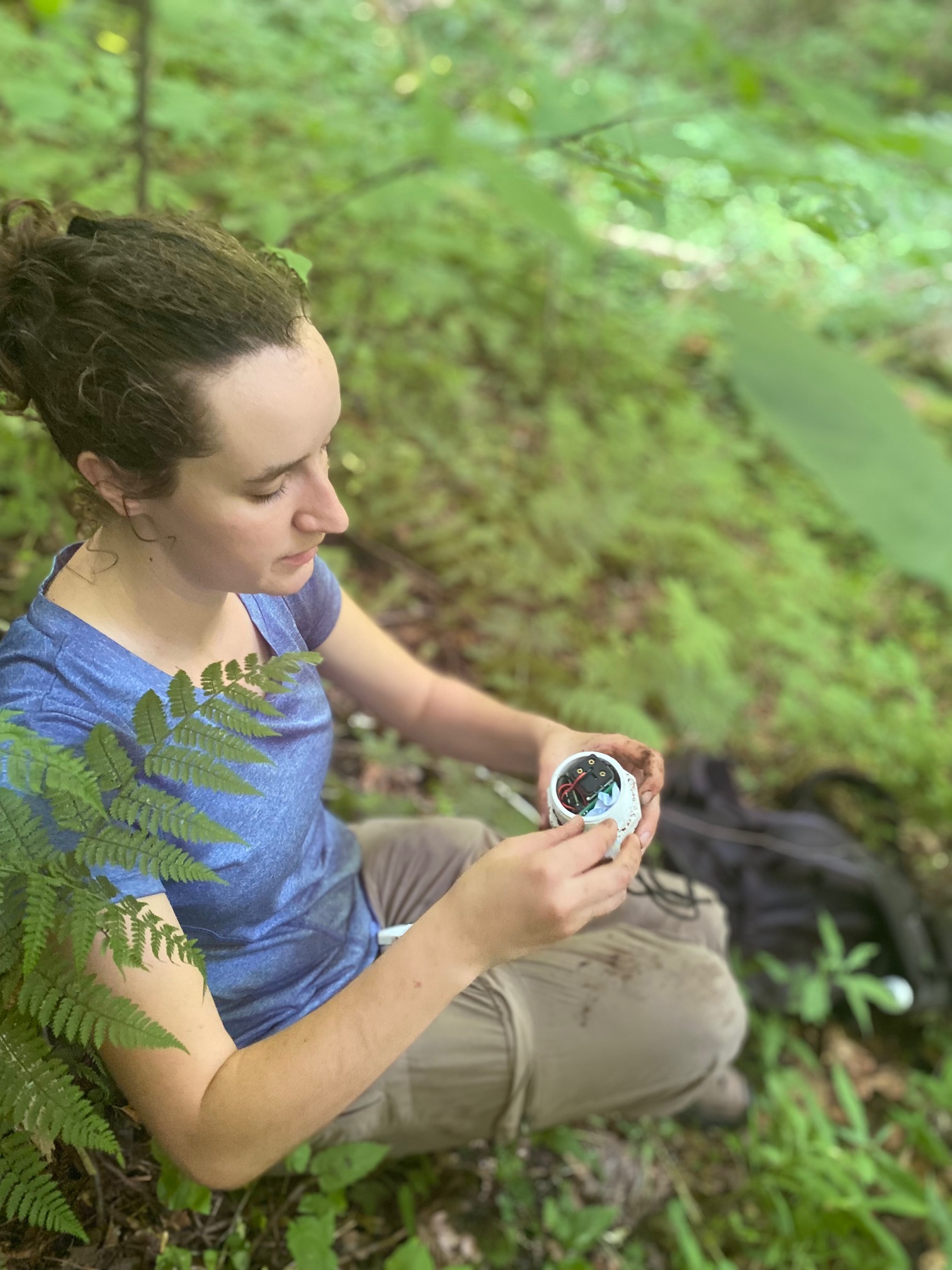 Hellbender Press - Élan Young